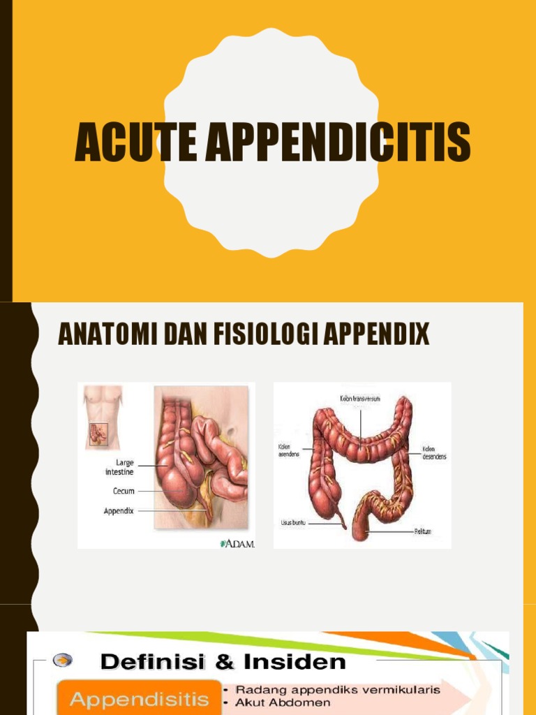 Appendicitis Acute - Dr. Putri | PDF