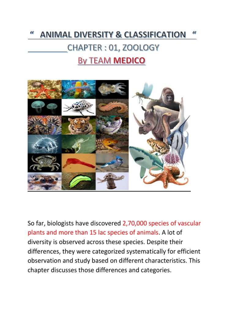 Animal Diversity | PDF | Vertebrates | Sponge
