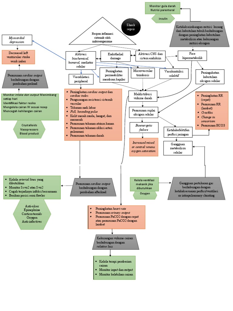 Patofisiologi Sepsis | PDF