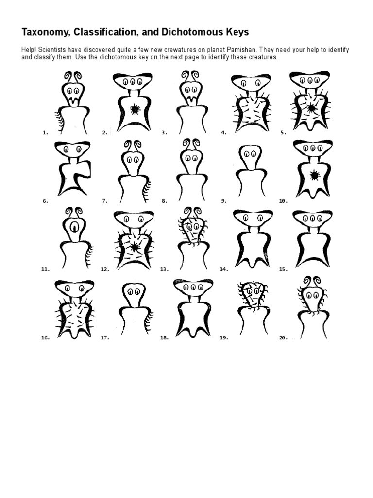 Taxonomy, Classification, and Dichotomous Keys | PDF | Nature