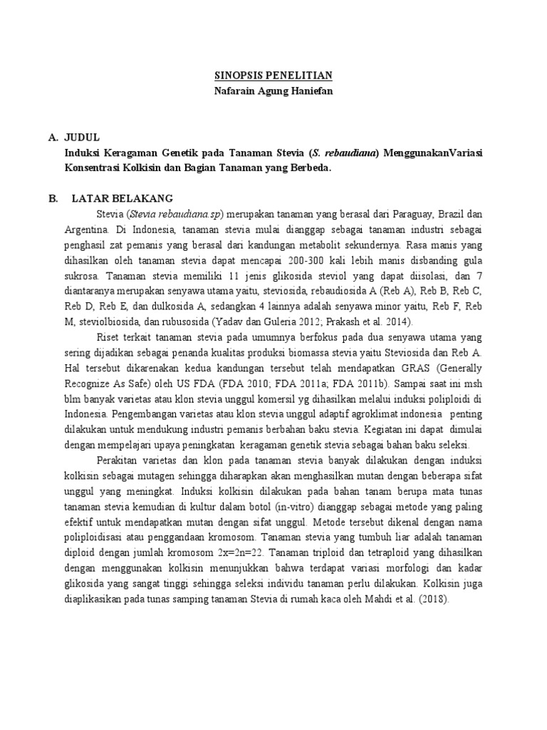 Sinopsis Penelitian | PDF