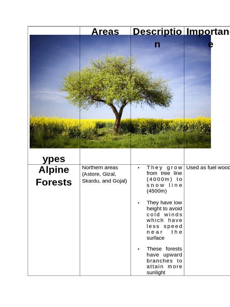Areas Descriptio N Importanc e | PDF | Trees | Indus River