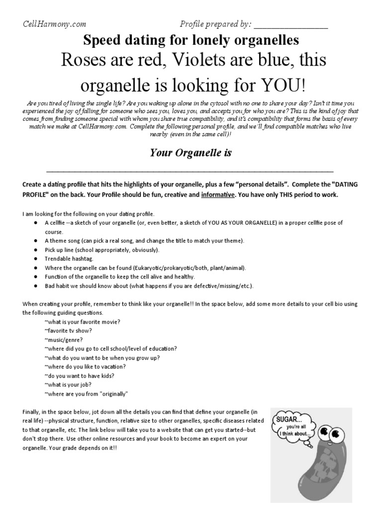 ORGANELLE SPEED DATING Profile Template | PDF | Organelle | Cell (Biology)