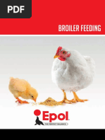 Broiler Feeding Chart 2 | PDF | Broiler | Birds
