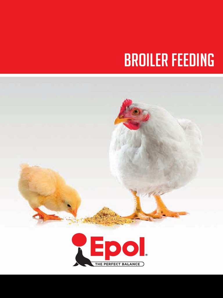 A17065 RCL Animal Feed Broiler Brochure ENG 02 Compressed | PDF ...