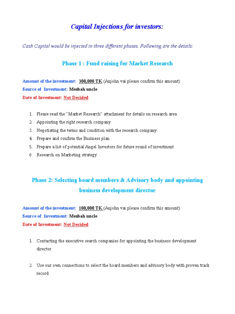 Capital Injection Plan | PDF | Marketing Strategy | Angel Investor