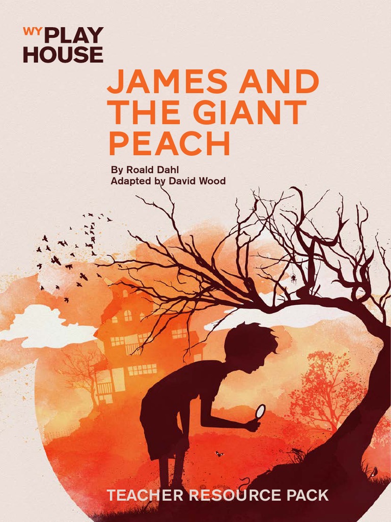 James and the Giant Peach Teaching Pack | PDF | Art | Young Adult