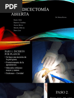 Incisión Rocky Davis | PDF | Medicina CLINICA | Anatomía