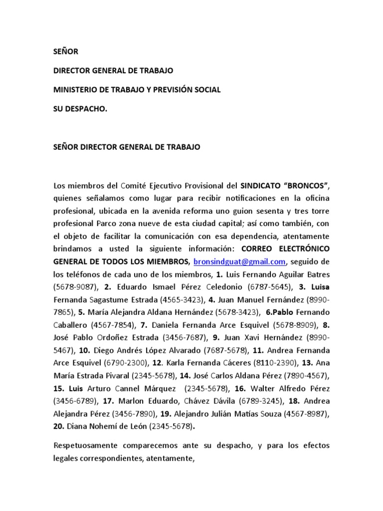 Solicitud Dirigida Al Director General de Trabajo | PDF | Gobierno | Constitución