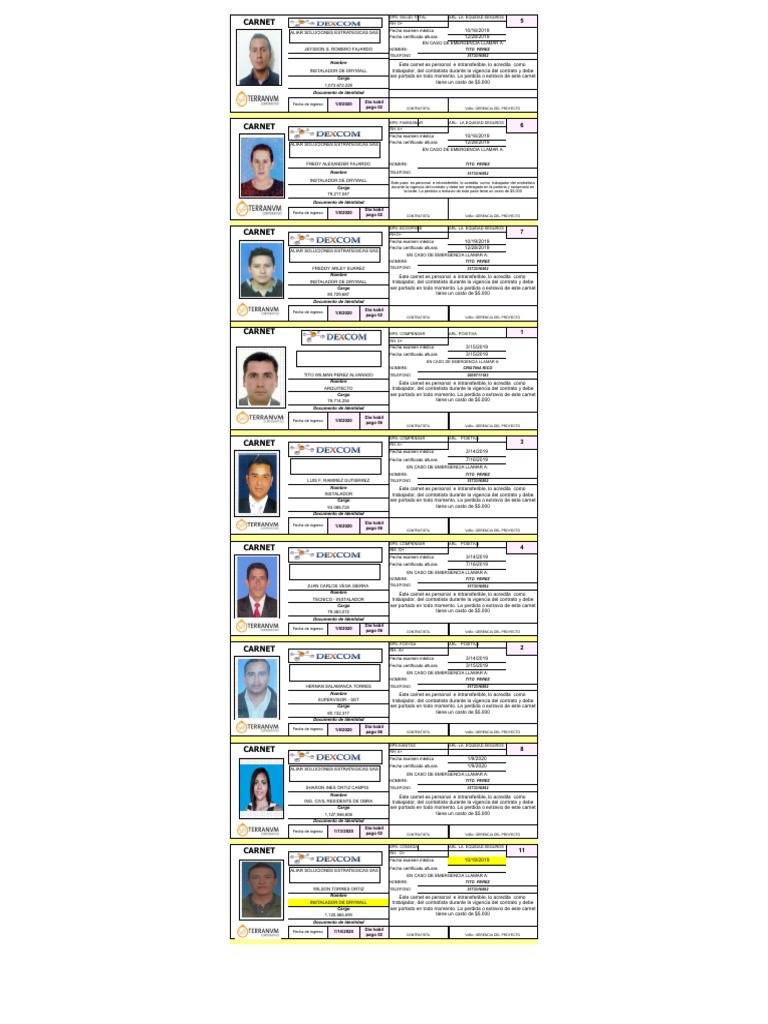 Formato de Carnets 2018 | PDF | Costa Rica | Gobierno y personalidad