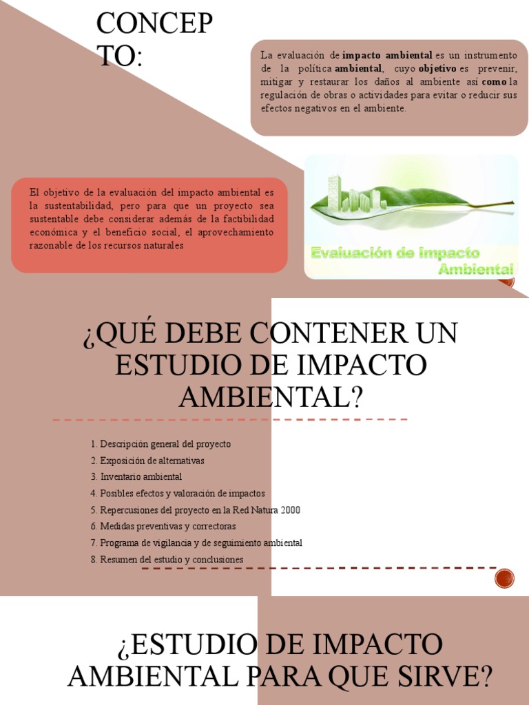 Semana 4 - Que Es Un Estudio de Impacto Ambiental | PDF