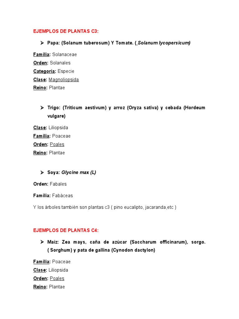 Ejemplos de Plantas C3 | PDF