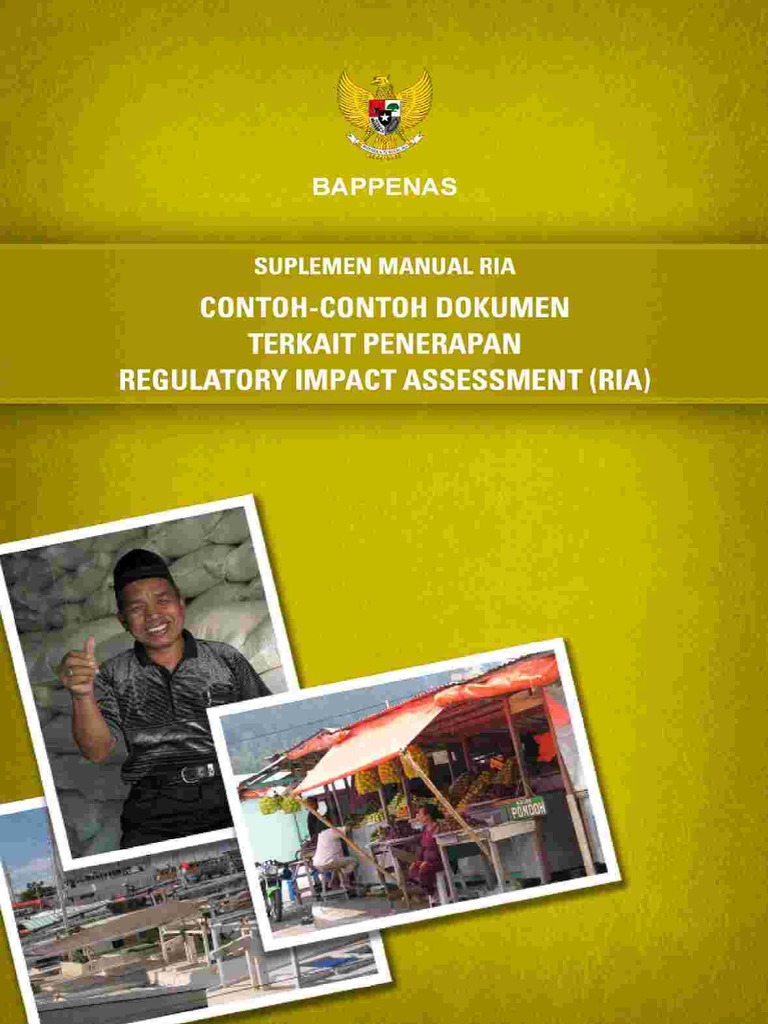 RIA Manual Book 04 - Part 1 - 301009 | PDF