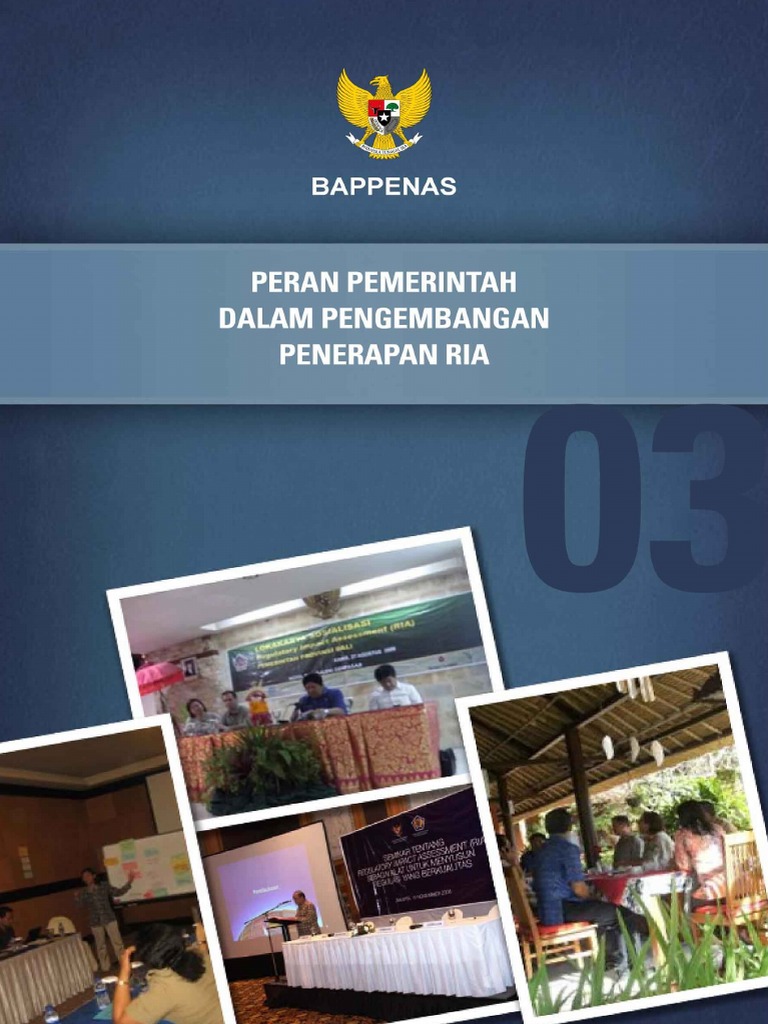 RIA Manual Book 03 - 291009 | PDF