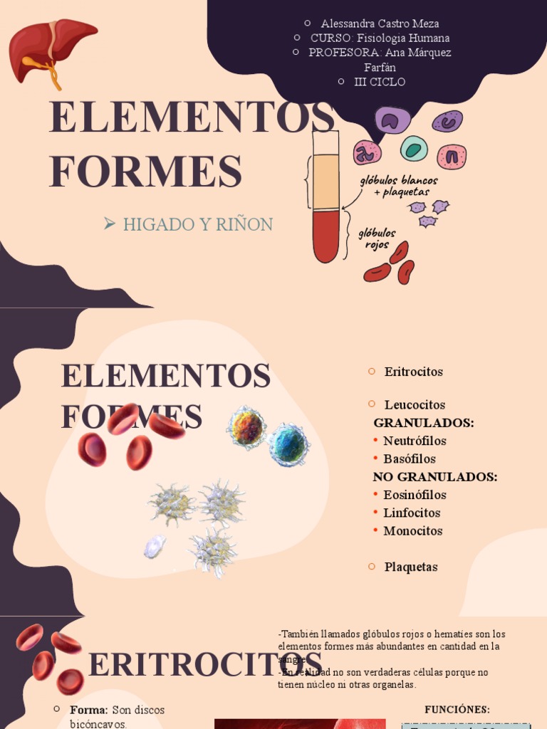 Elementos Formes | PDF | Sangre | Metabolismo