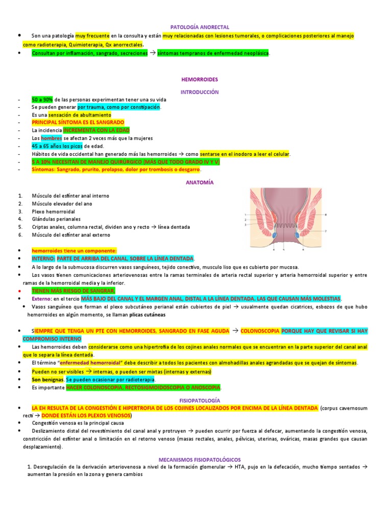 PATOLOGÍA ANORRECTAL Clase QX | PDF | Hemorroides | Estreñimiento
