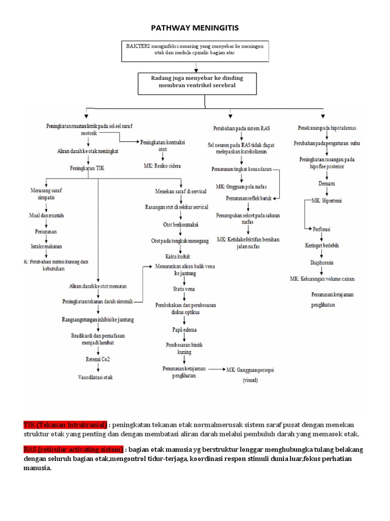 1.pathway Meningitis | PDF