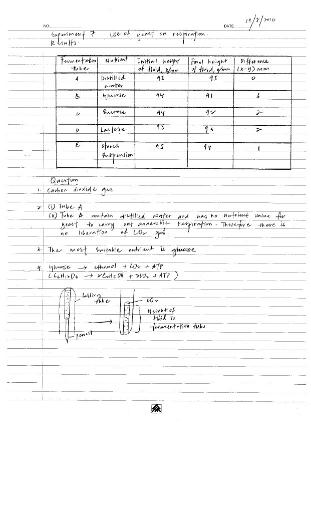 STPM Biology Experiment 7 | PDF