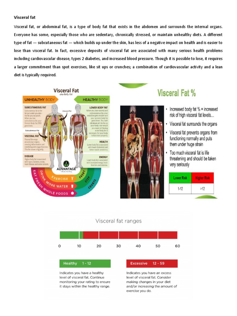 Understanding Visceral Fat Risks | PDF