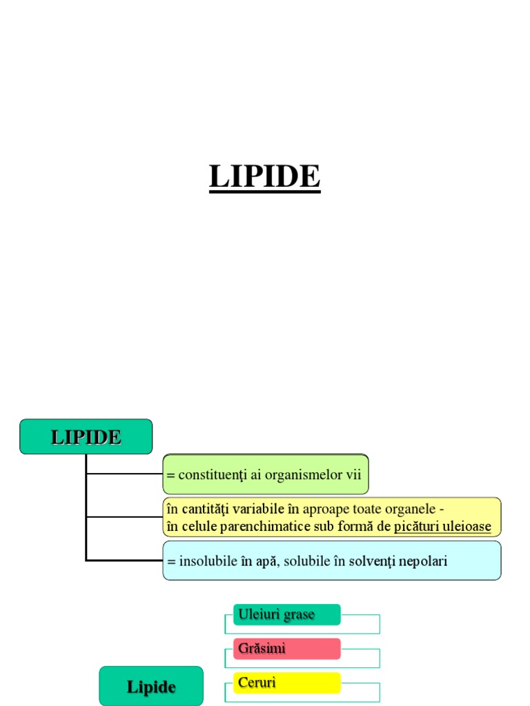 01 Lipide PDF | PDF