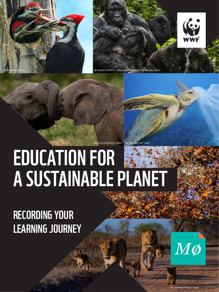 WWF ESD Learning MOOC Journal | PDF | Sustainability | Sustainable Development