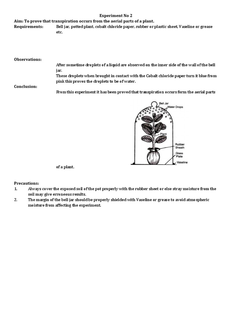 Experiment No 2 Aim: To Prove That Transpiration Occurs From The Aerial ...