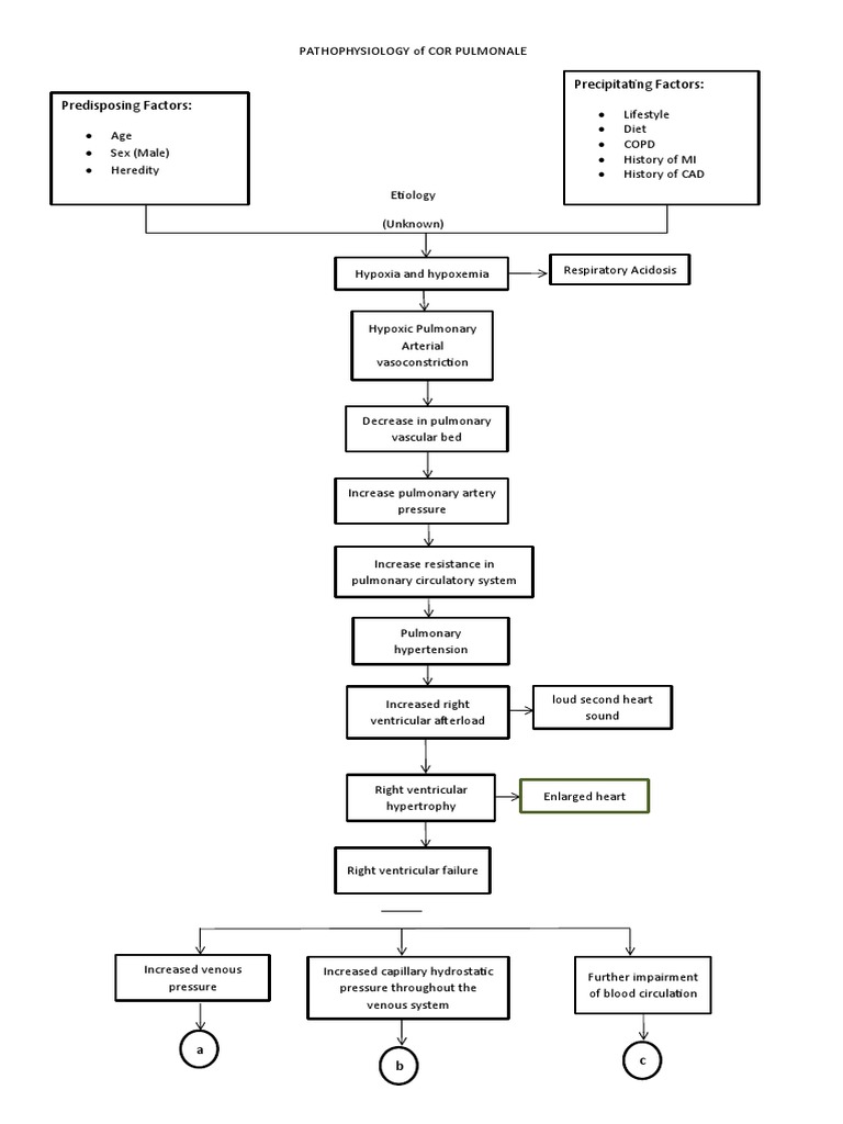 Cor Pulmonale PATHOPHYSIOLOGY | PDF | Vein | Hypoxia (Medical)