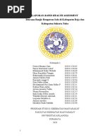 Contoh - RHA (Rapid Health Assesment) | PDF