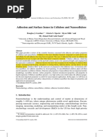 Time Calculation Practice Sums and Question Bank | PDF | Longitude | Tide