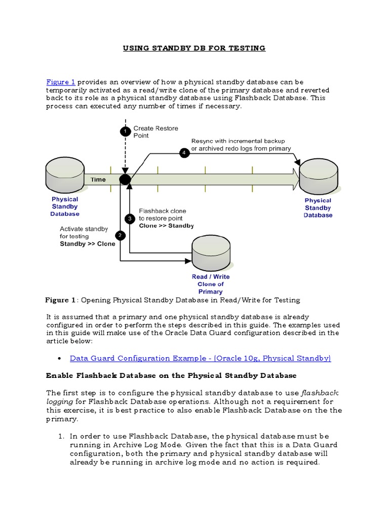 Oracle Using Standby Db For Testing Pdf Databases Computer Engineering
