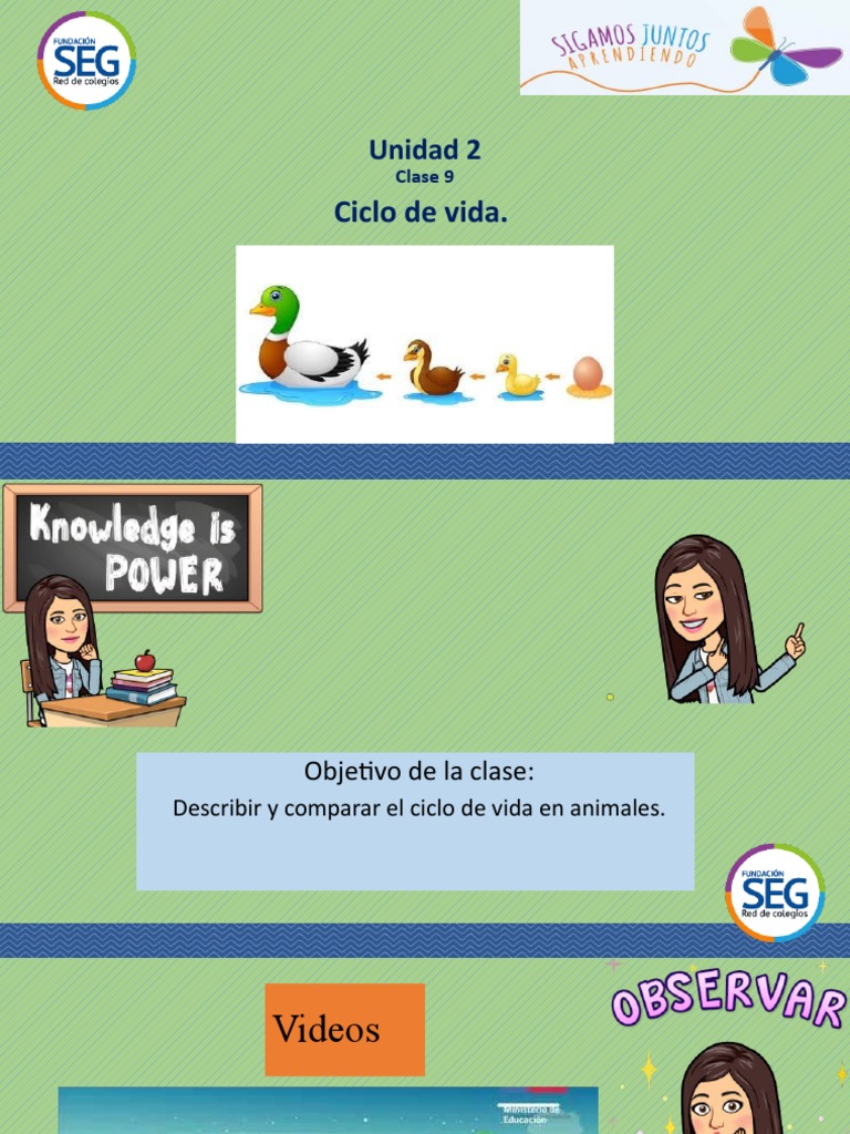 U2 Clase 9 Ciclo de Vida Segundo Básico | PDF | Vida | Naturaleza