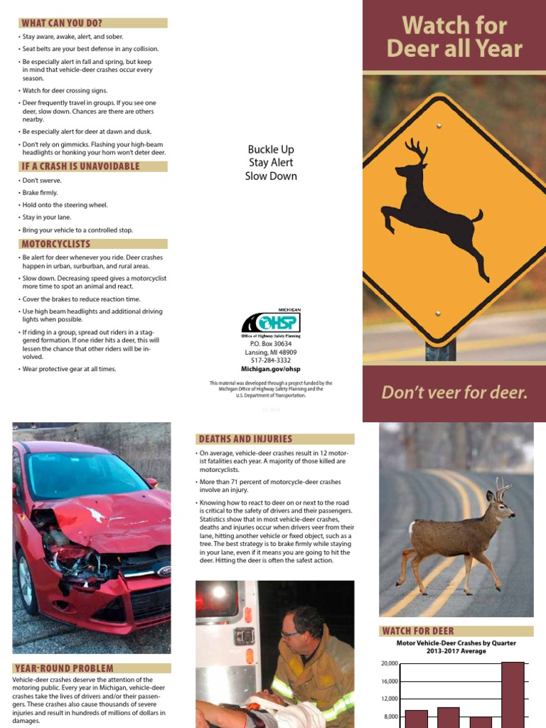 Watch For Deer All Year Brochure 04 Web 646460 7 | PDF | Road Traffic ...