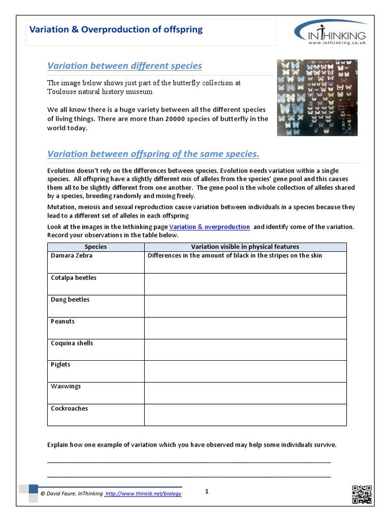 Variation Between Different Species: Variation & Overproduction of ...