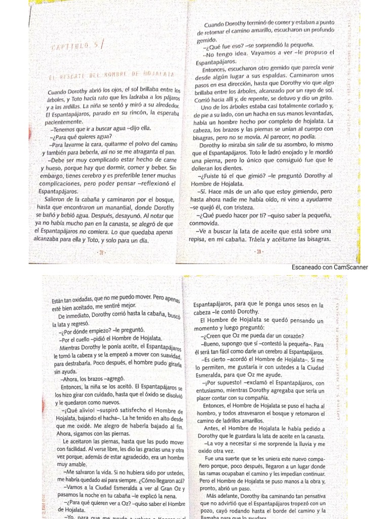 Capítulos 5 y 6 | PDF