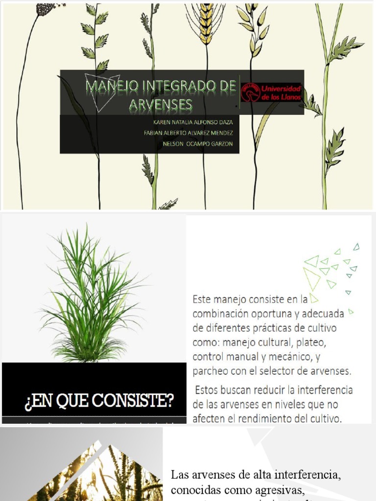 Manejo Integrado de Arvenses | PDF | Agricultura | Entorno natural