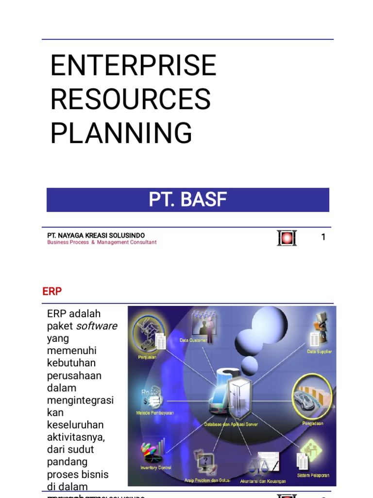 Erp PT Basf | PDF