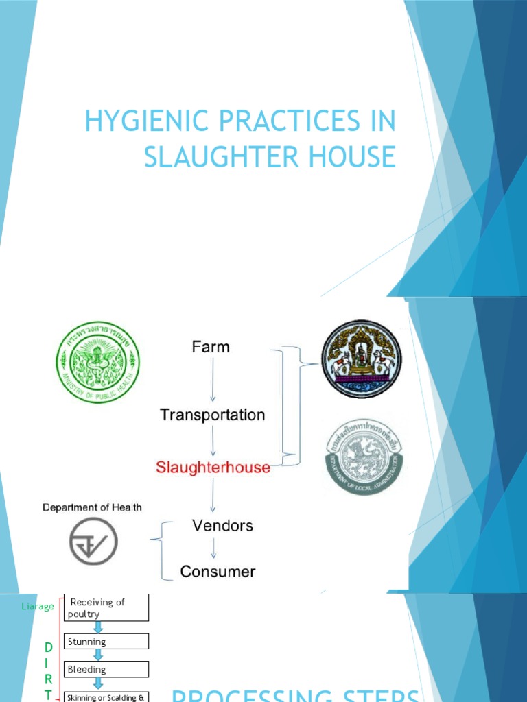 Hygienic Practices in Slaughter House 2 | PDF | Hygiene | Drainage