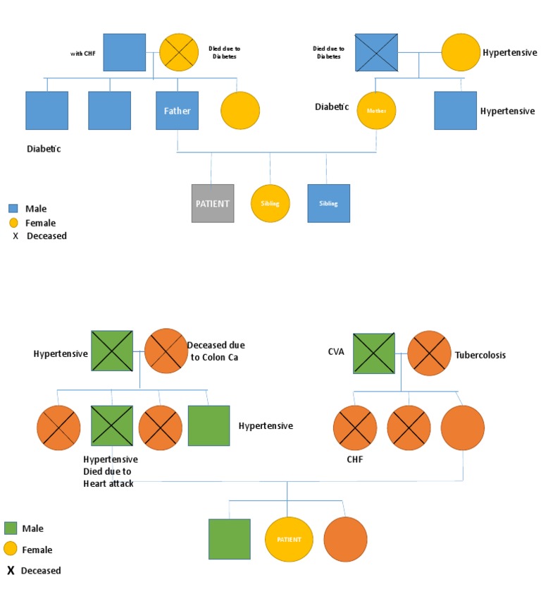 Diabetes Genogram | PDF