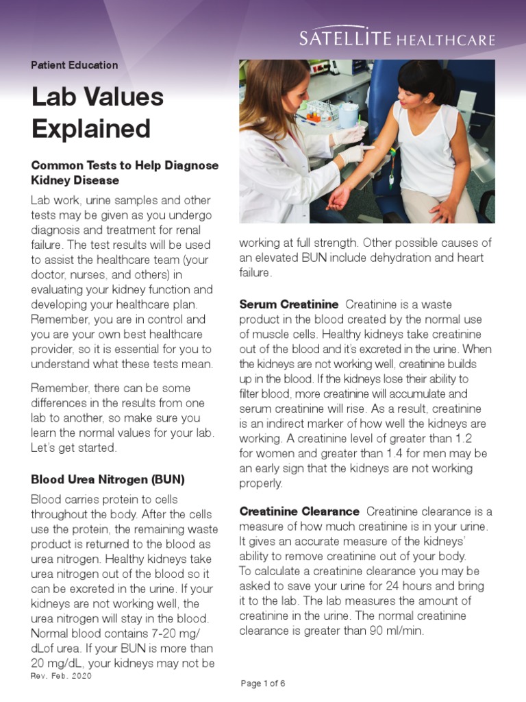 Lab Values Explained: Common Tests To Help Diagnose Kidney Disease ...