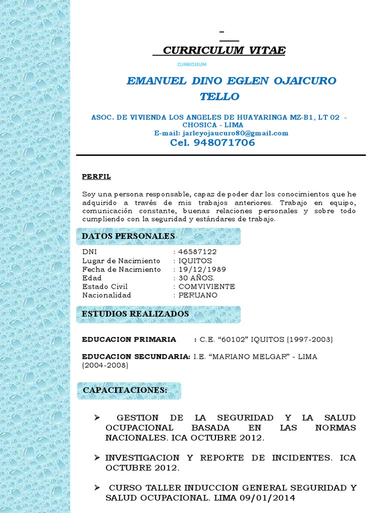 CV Emanuel | PDF | Reclutamiento | Plan de estudios