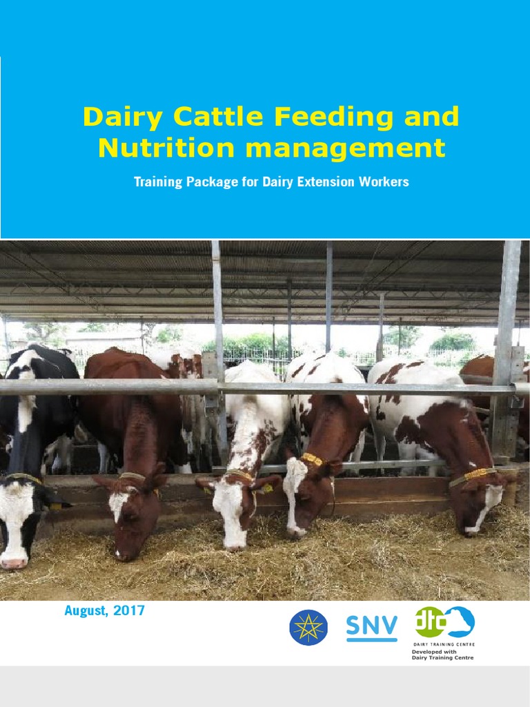 Dairy Cattle Feeding Management Guide | PDF | Ruminant | Dairy Cattle