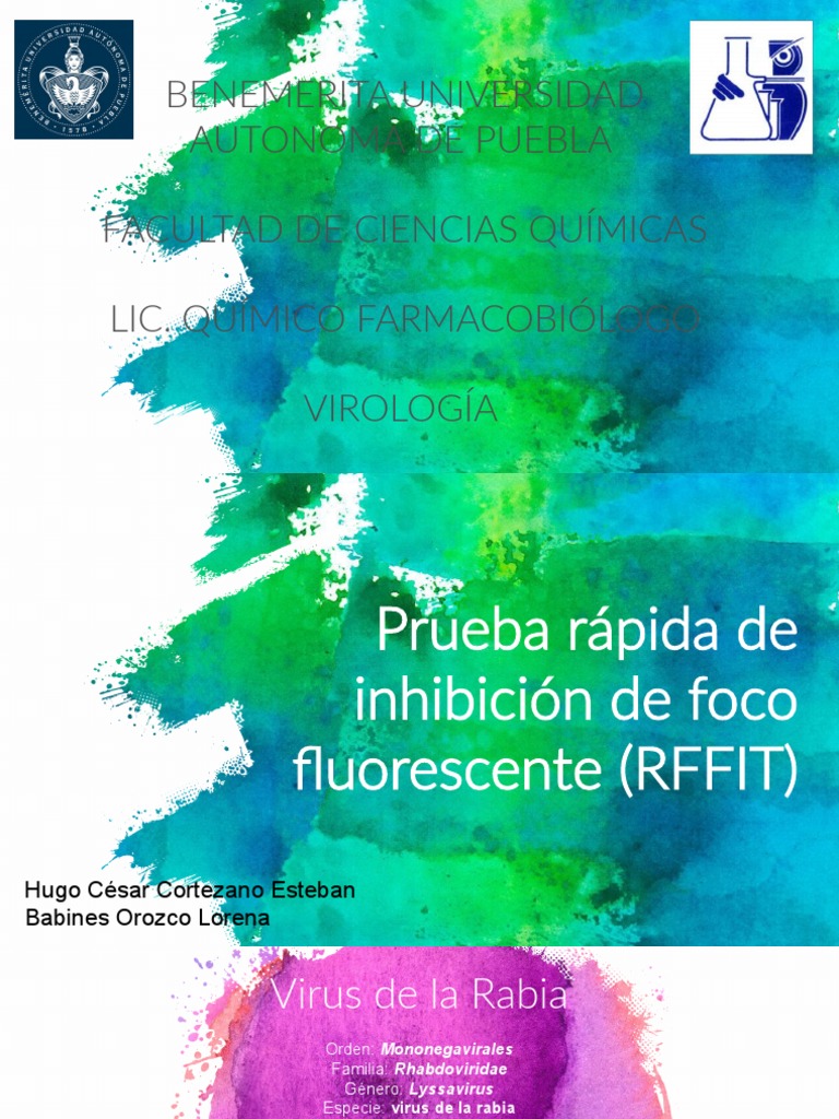 RFFIT | PDF | Rabia | Inmunofluorescencia