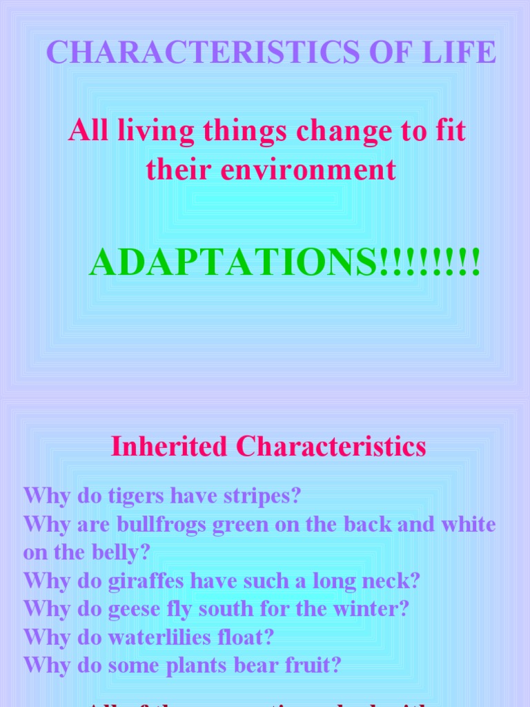 Characteristics of Life Adaptations | PDF | Predation | Adaptation