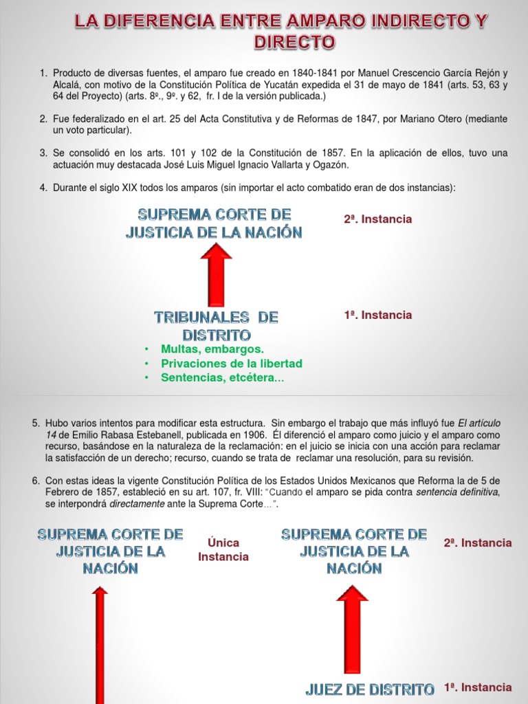 Guía Del Amparo En México Tipos Y Proceso Pdf Caso De Ley