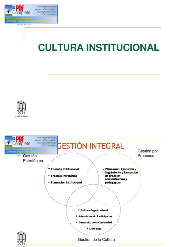 Cultura Institucional | PDF