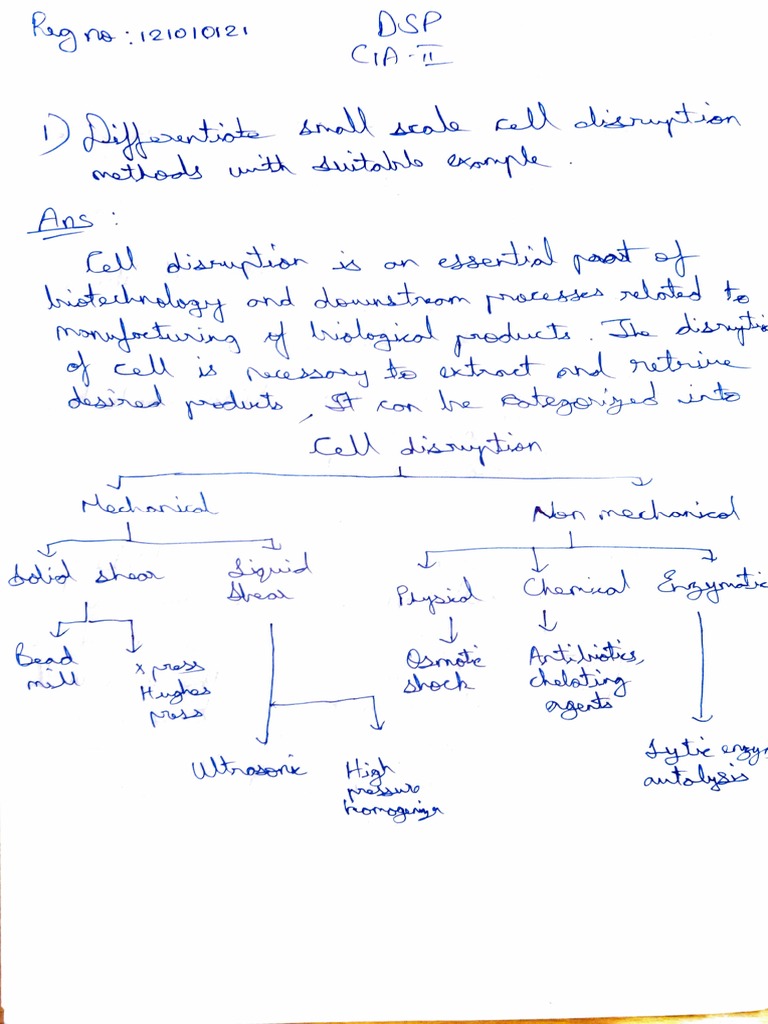 Cell Disruption | PDF