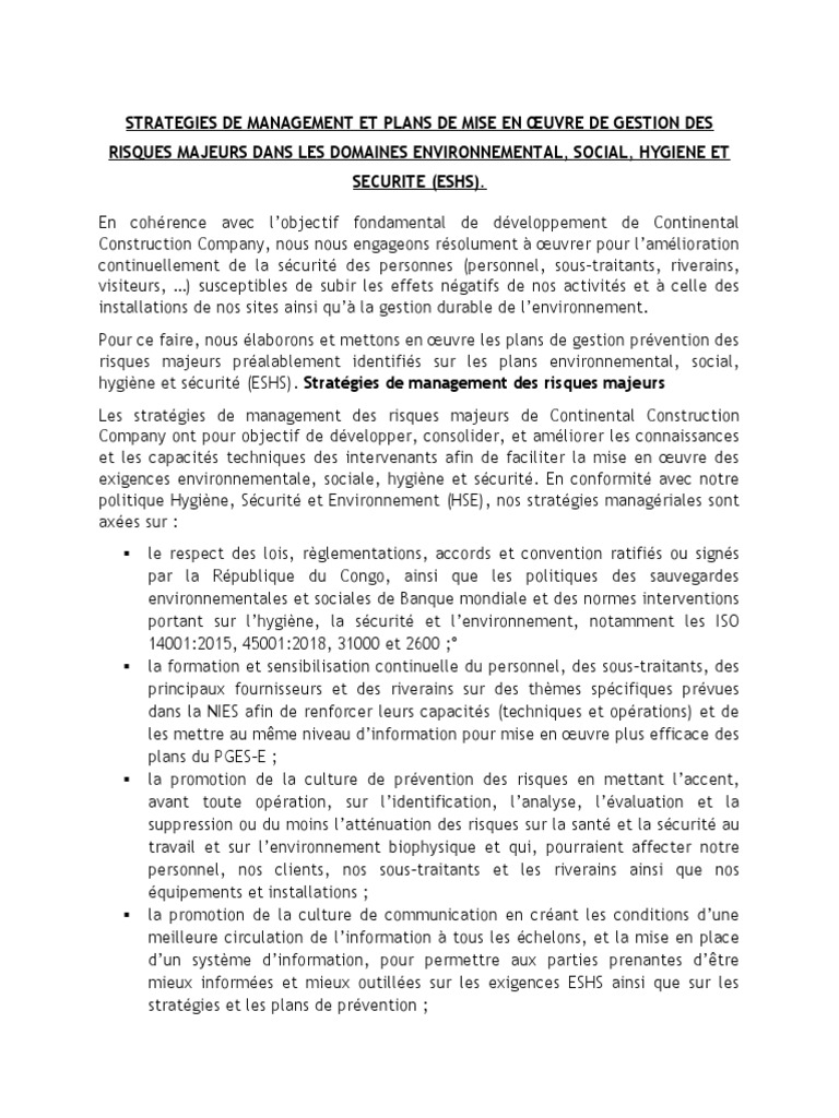 1 - Stratégies de Management Et Plans de Mise en Œuvre de Gestion Des Risques ESHS - V001 | PDF ...