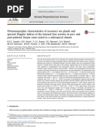 Normal Prostate Size in Dogs | PDF | Prostate | Medical Ultrasound