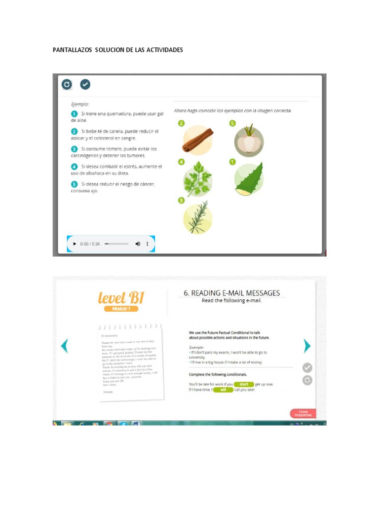 Pantallazos Ingles | PDF