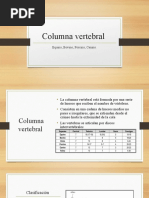 Tipos y Fórmulas de Vértebras Veterinarias | PDF | Vértebra | Anatomía